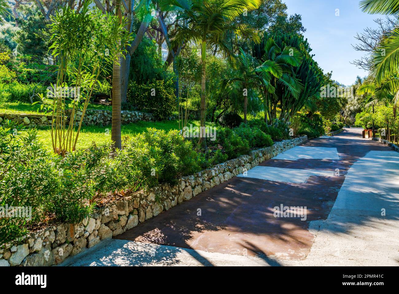 La Alameda botanical garden in Gibraltar town, UK Stock Photo - Alamy