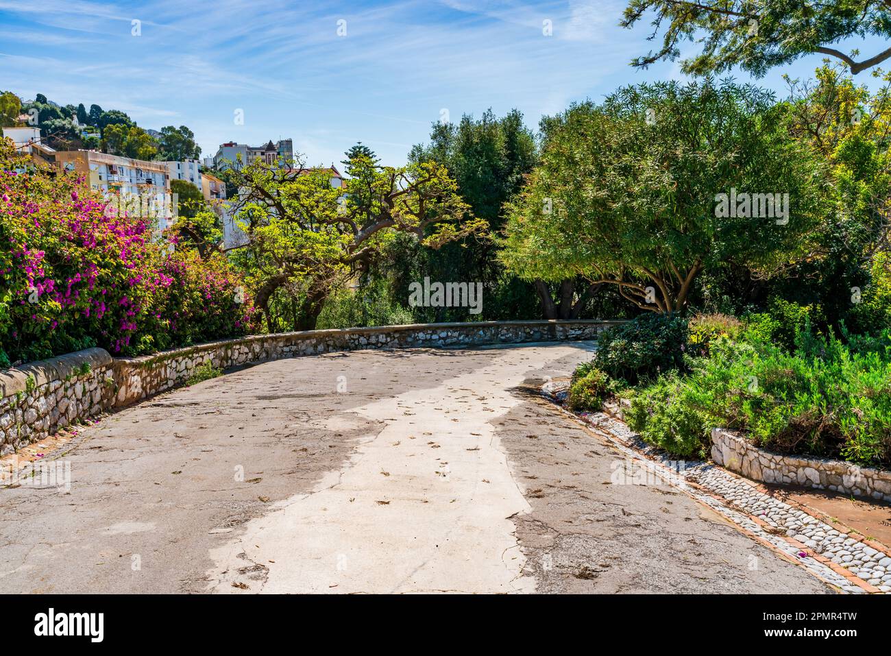 La Alameda botanical garden in Gibraltar town, UK Stock Photo - Alamy