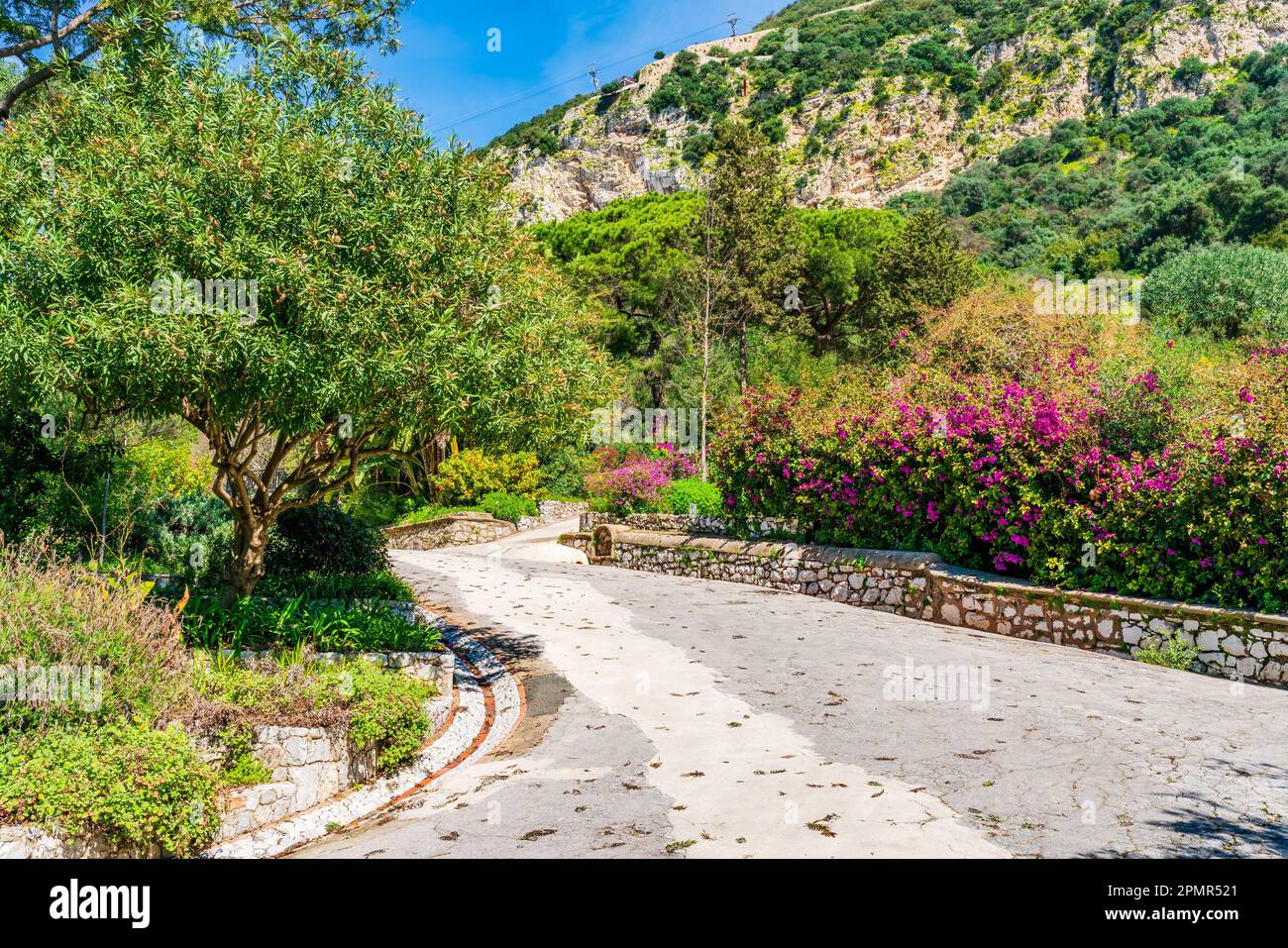 La Alameda botanical garden in Gibraltar town, UK Stock Photo - Alamy
