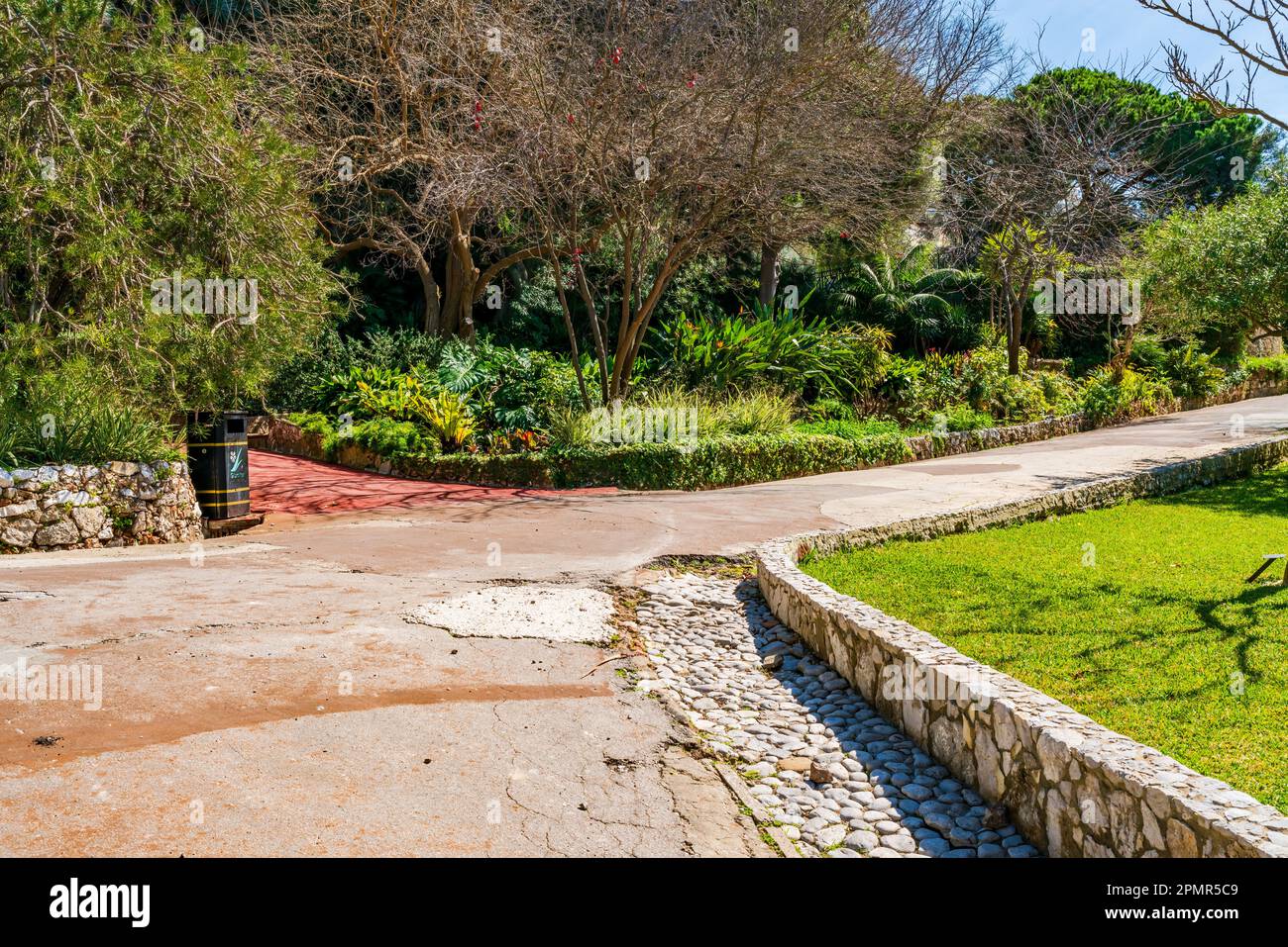 La Alameda botanical garden in Gibraltar town, UK Stock Photo - Alamy