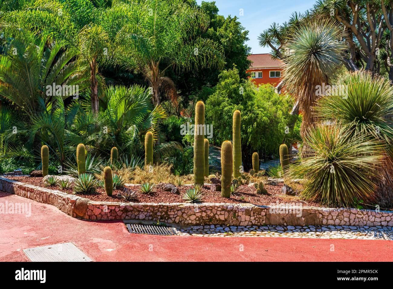 La Alameda botanical garden in Gibraltar town, UK Stock Photo - Alamy