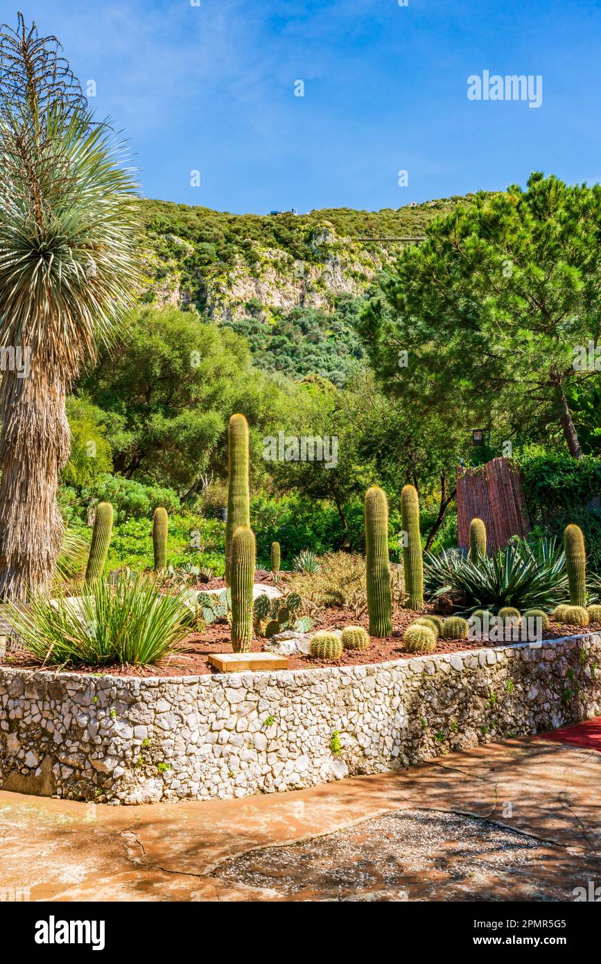 La Alameda botanical garden in Gibraltar town, UK Stock Photo - Alamy