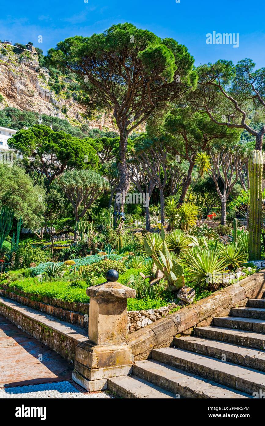 La Alameda botanical garden in Gibraltar town, UK Stock Photo - Alamy