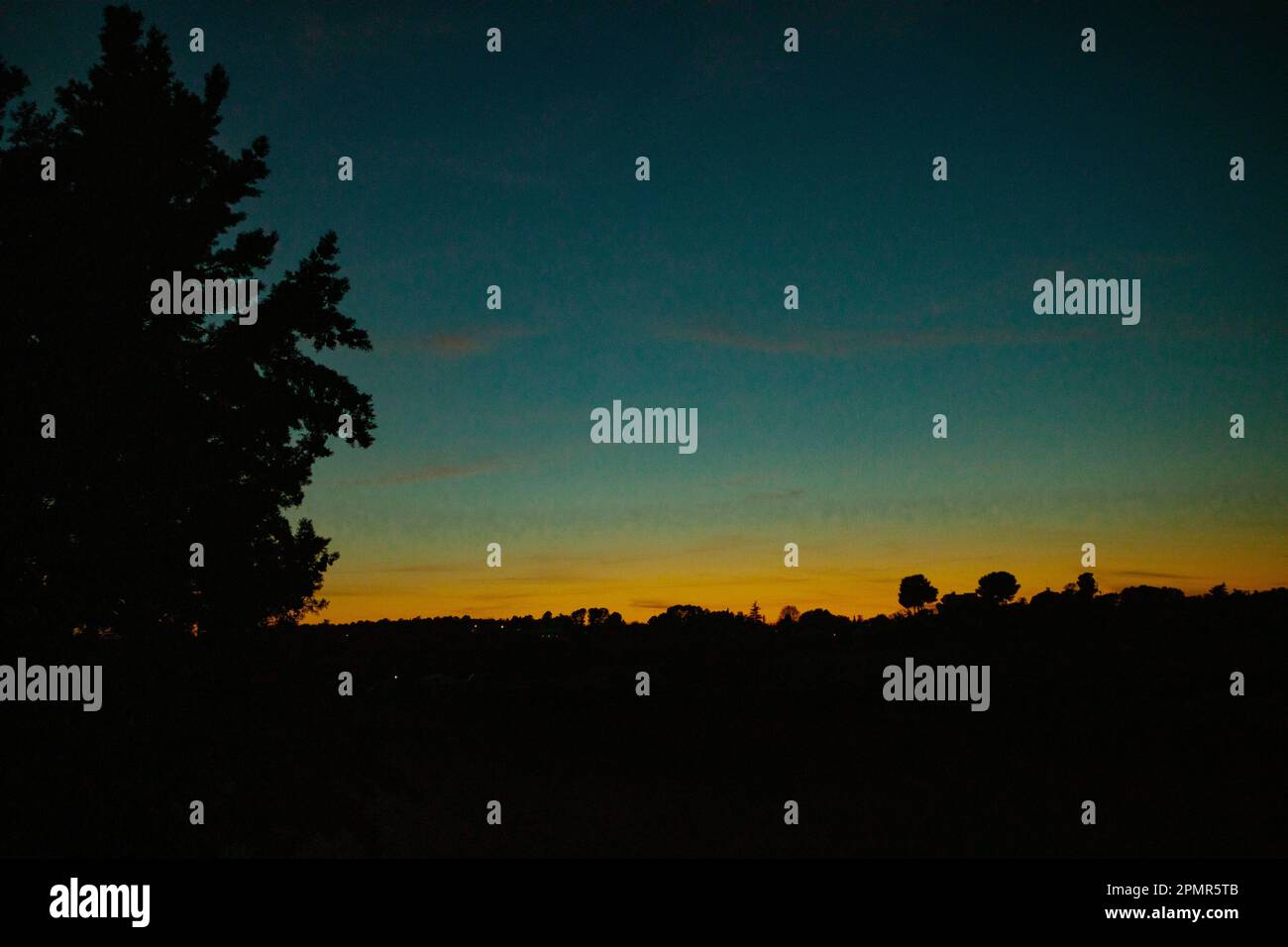 Silhouettes of different trees on a background of a blue orange night ...