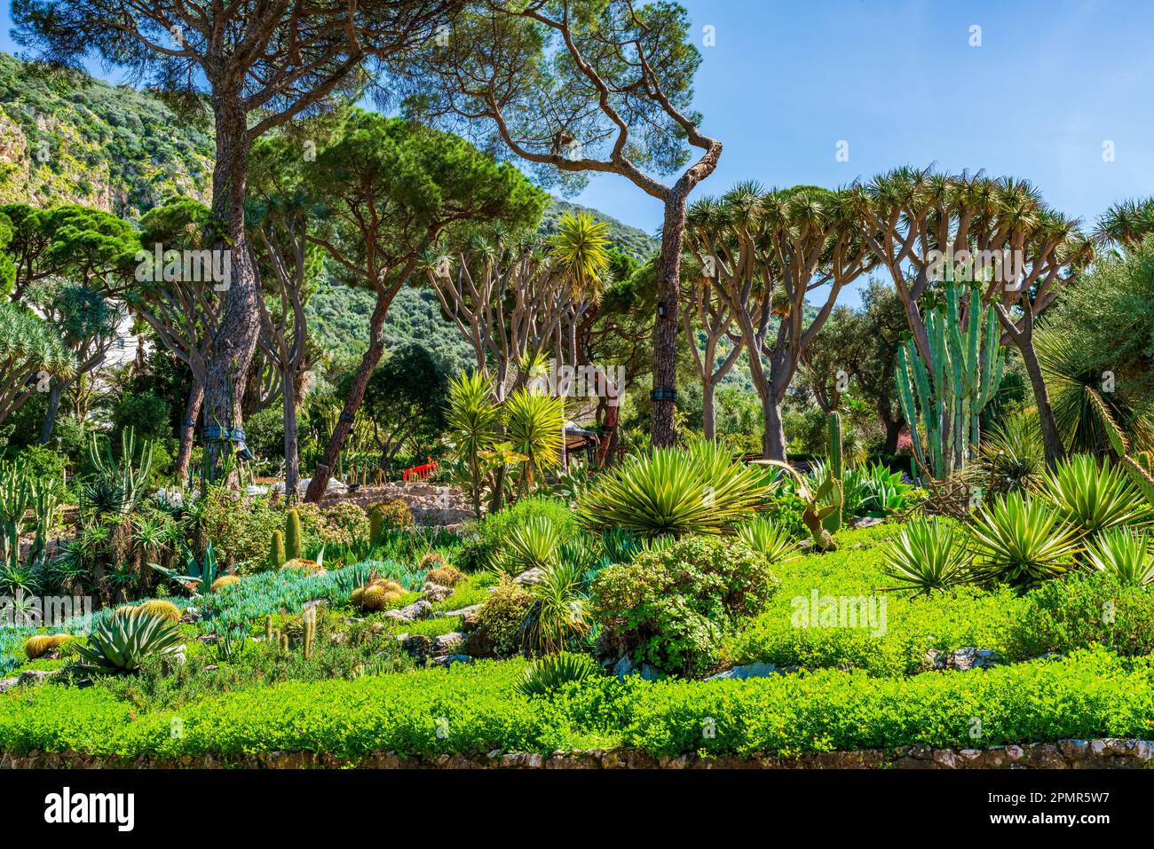 La Alameda botanical garden in Gibraltar town, UK Stock Photo - Alamy