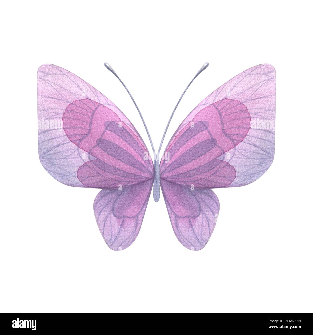Purple butterfly. Hand-drawn watercolor illustration. Isolated object ...