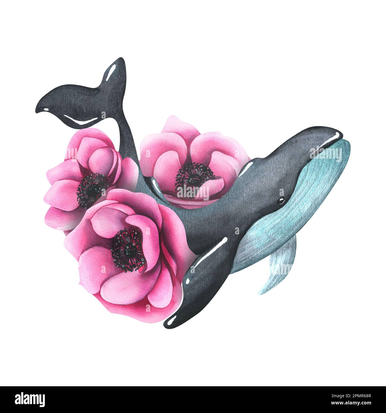 Large whale in black and turquoise among pink anemone flowers ...