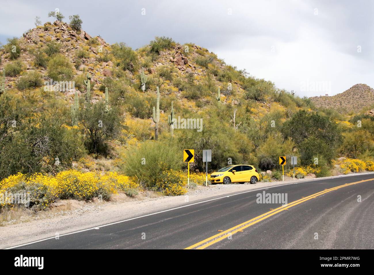 Mesa bush hi-res stock photography and images - Alamy