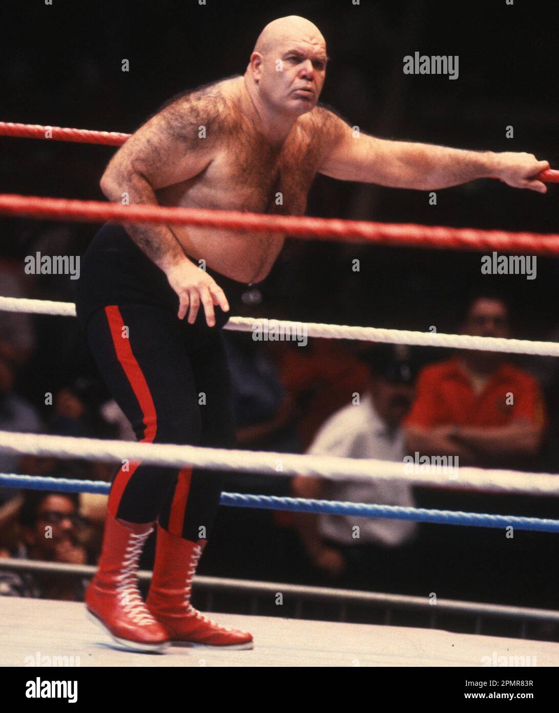 1989 George Steele Photo by John Barrett/PHOTOlink Photo via Credit ...