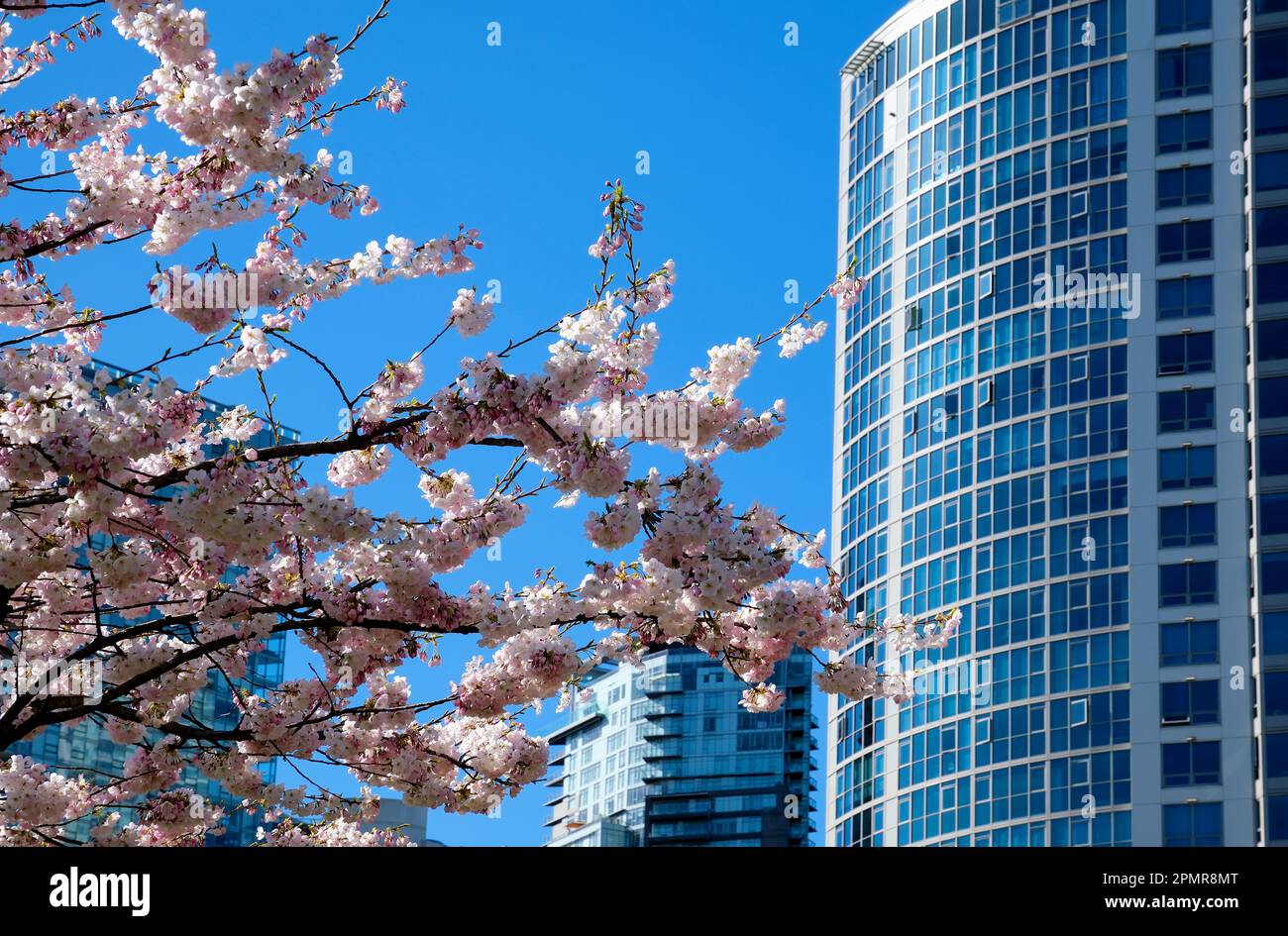 David lam park yaletown bc hi-res stock photography and images - Alamy