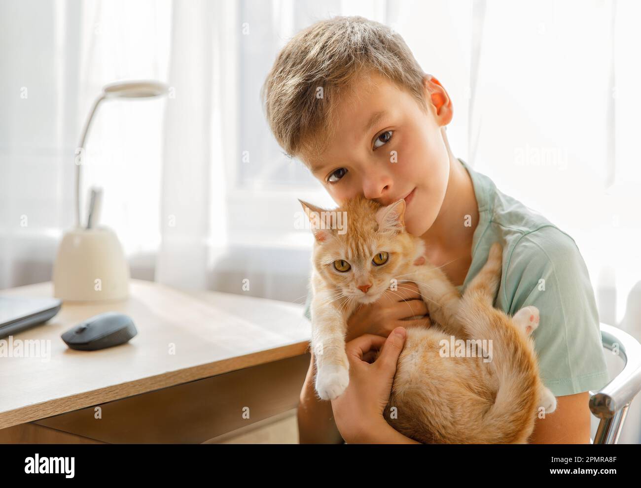 Boy and pet at home. Kid hugs red ginger cat while sitting at home ...