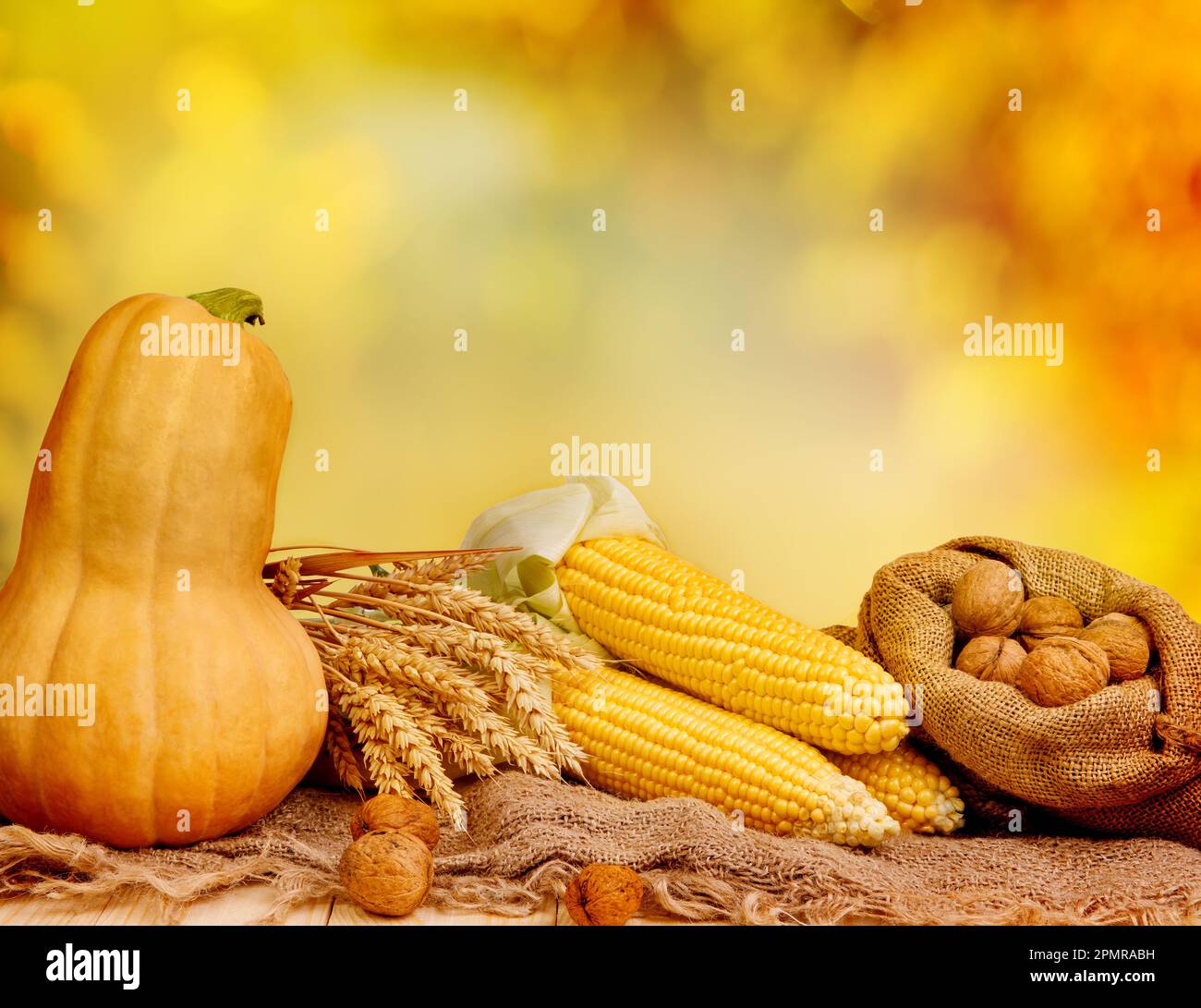 Pumpkin, walnut, spikelets, and corn on harvest table Stock Photo - Alamy