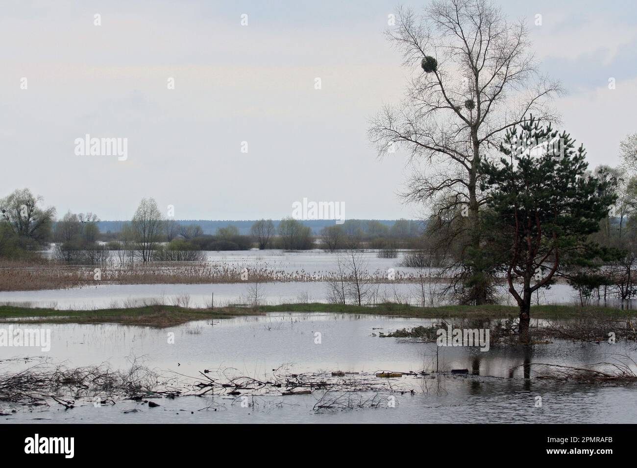 IVANKIV, UKRAINE - APRIL 14, 2023 - A flooded territory is pictured in ...