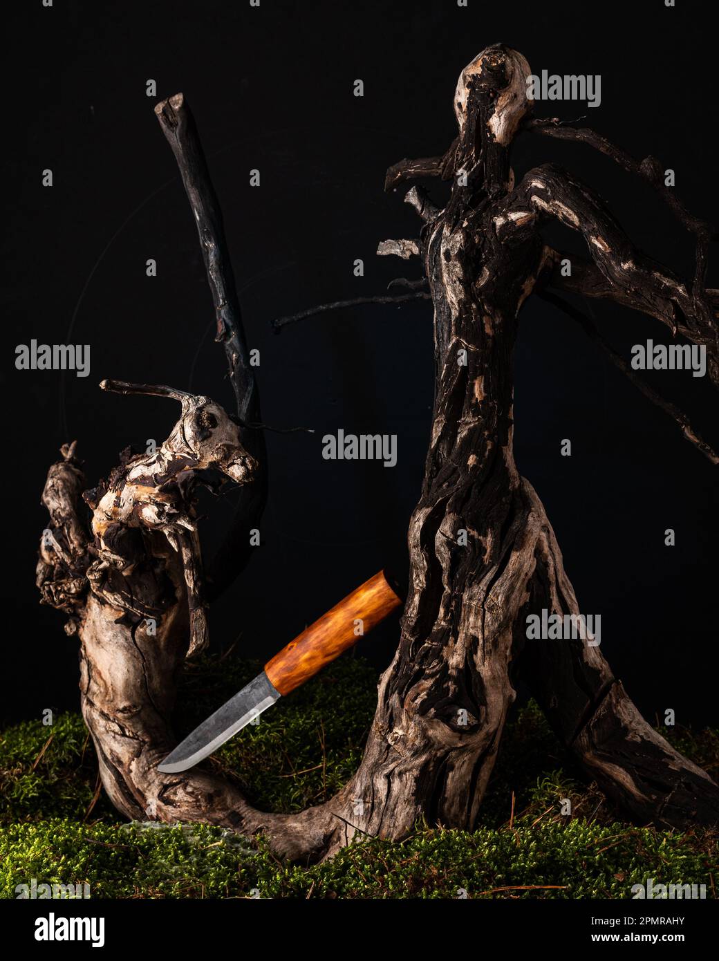 Scandinavian knife on stump and moss. Knife with a fixed blade at the ...