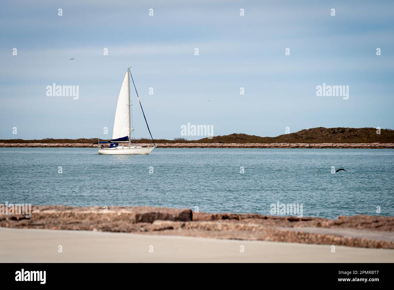 A white Sailboat, sailing left to right on the blue water of the ...