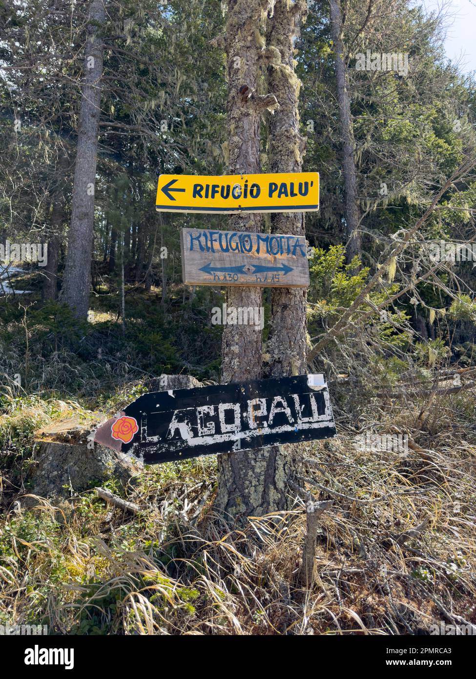 a beautiful view of the mountain path leading to Lake Palu, Valtellina ...