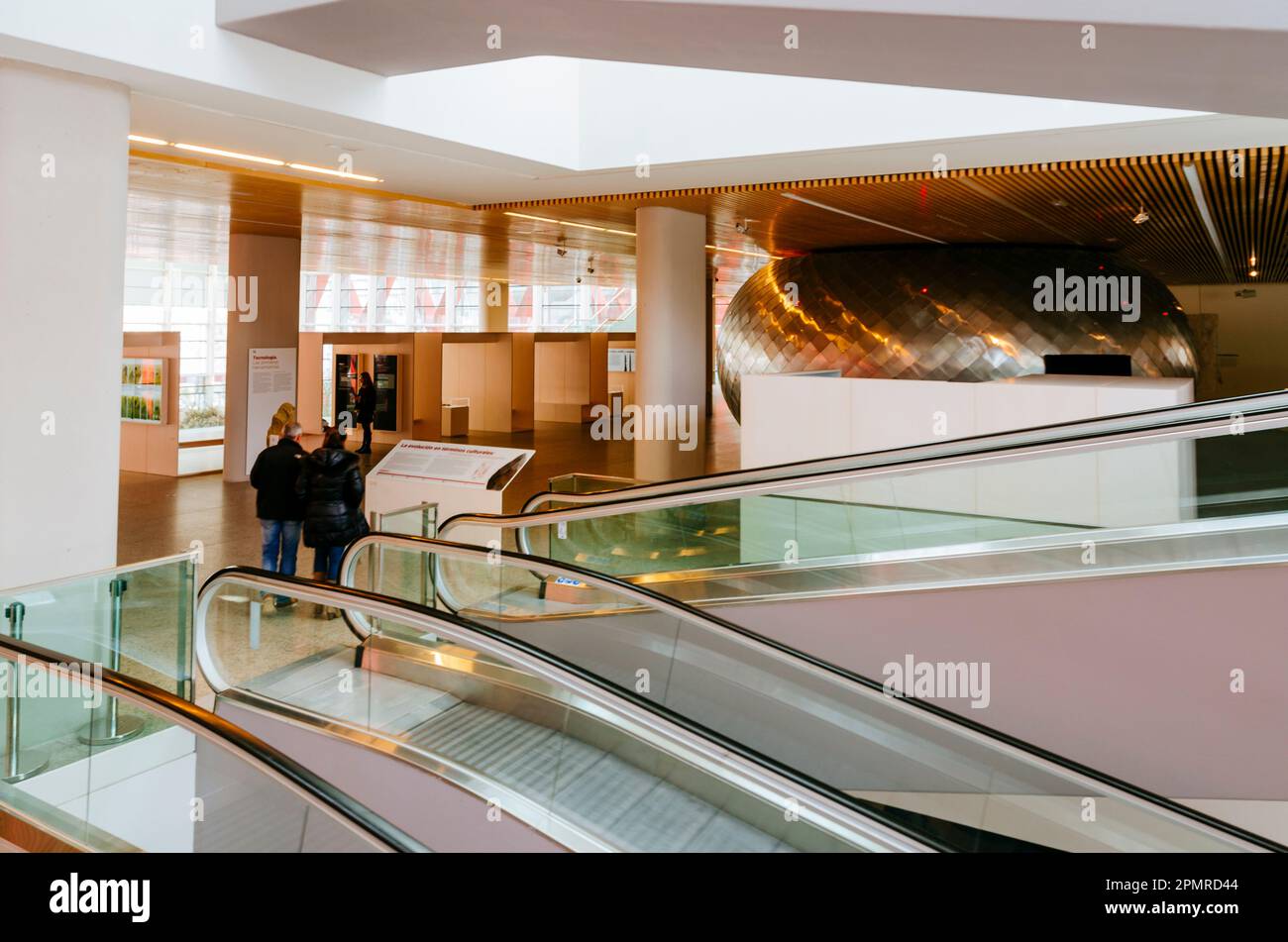 Interior. Museum of Human Evolution - Museo de la Evolución Humana ...