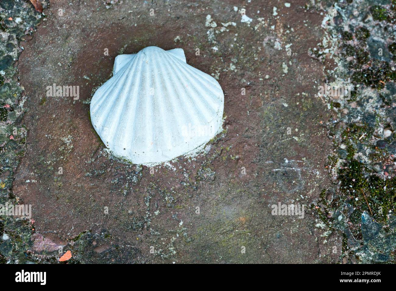 Scallop shell as a sign for the pilgrimage route, Way of St. James to ...