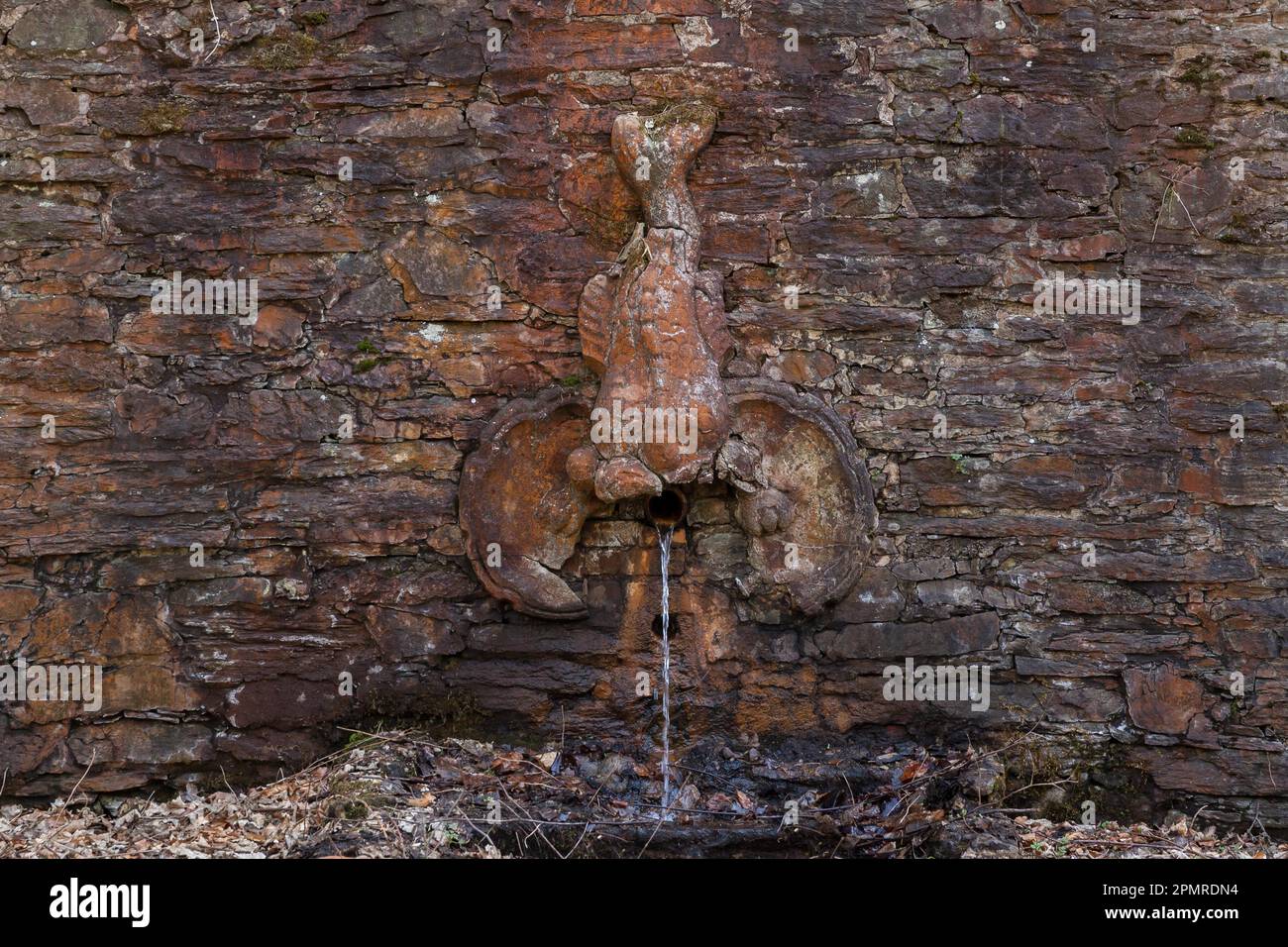 Spring underwater fresh water source hi-res stock photography and ...
