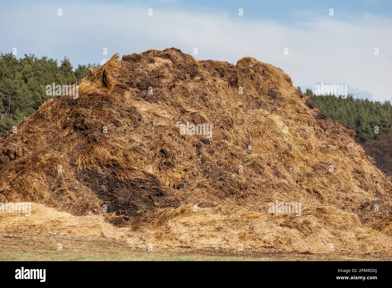 Dung waste hi-res stock photography and images - Alamy