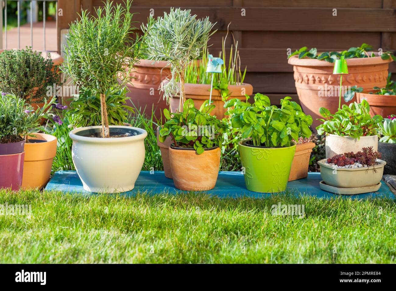 Outdoor flower pots for small garden, patio or terrace Stock Photo - Alamy