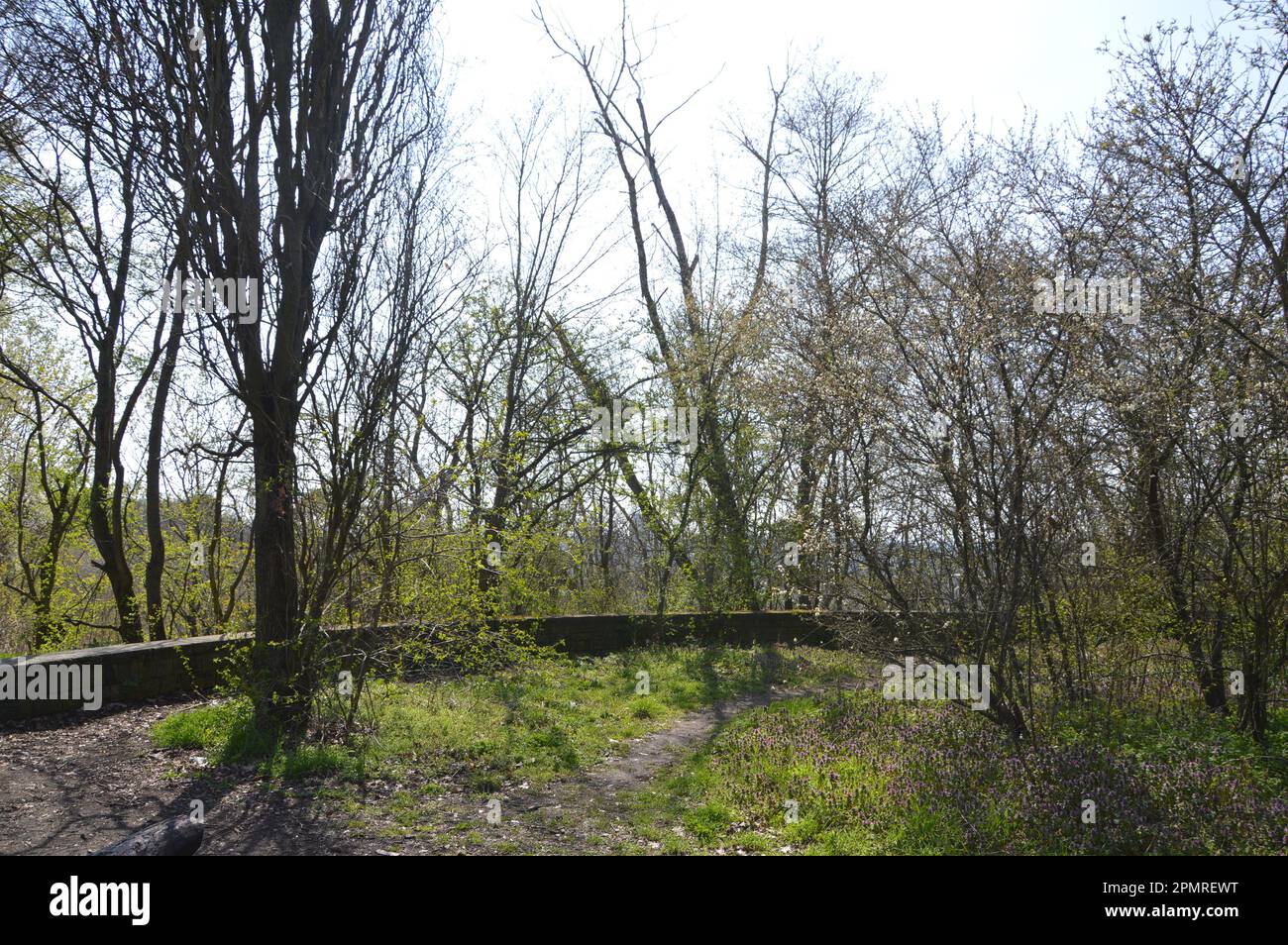 Berlin, Germany - April 10, 2023 - Volkspark Prenzlauer Berg ...