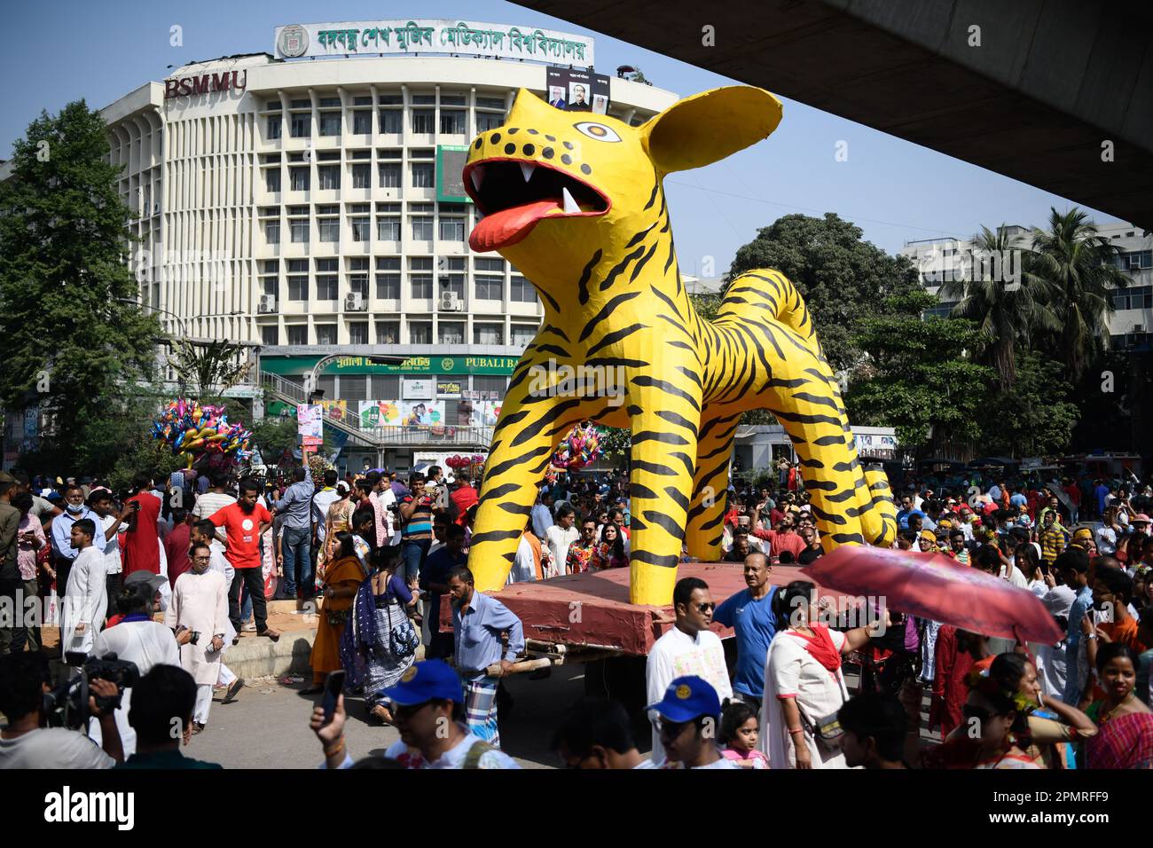 Members of the Special Security Force "SWAT (special weapons and ...