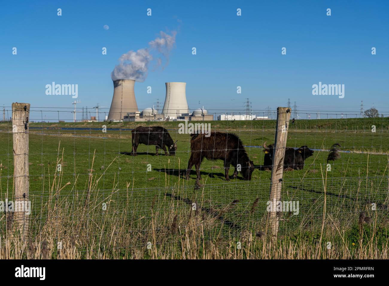 The Doel nuclear power plant, on the Scheldt River, one of two nuclear ...