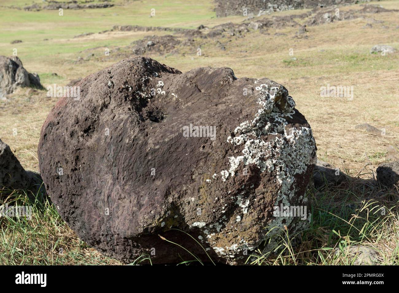 Head of a fallen moai, Tahai Ceremonial Complex, Hanga Roa, Rapa Nui ...
