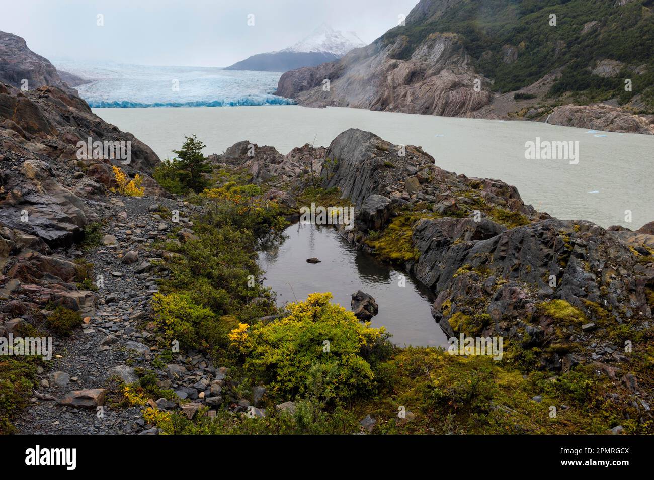 Lago Grey and Grey Glacier, Torres del Paine National Park, Chilean ...