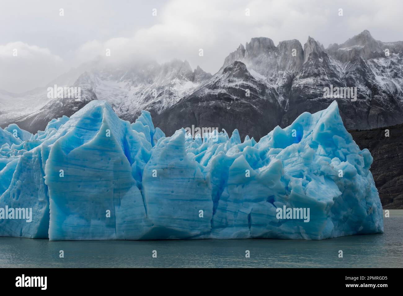 Grey Glacier flowing into the lake, Lago Grey, Torres del Paine ...