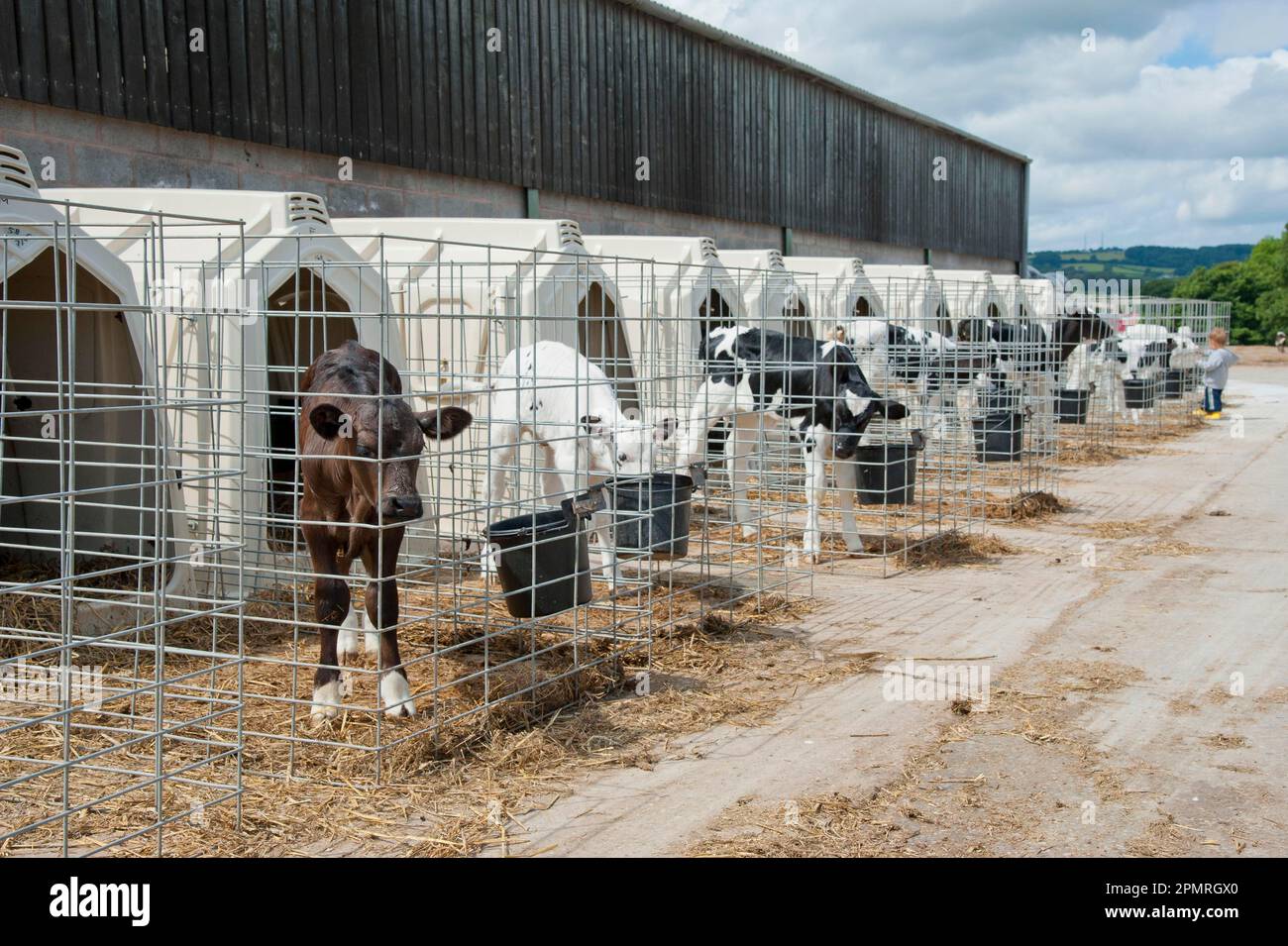 Kaelberhuette hi-res stock photography and images - Alamy