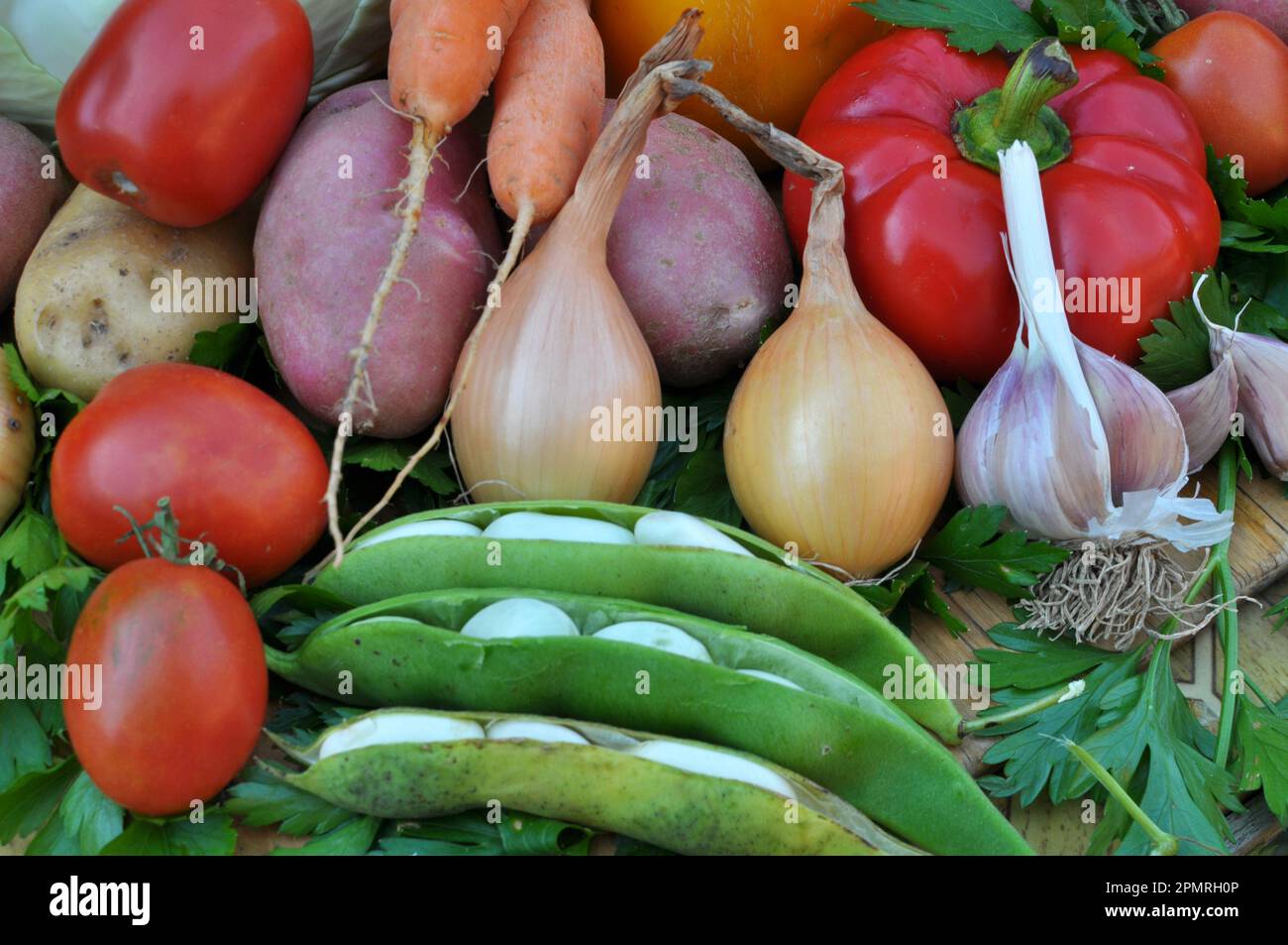 Set of vegetables for cooking red borscht Stock Photo - Alamy