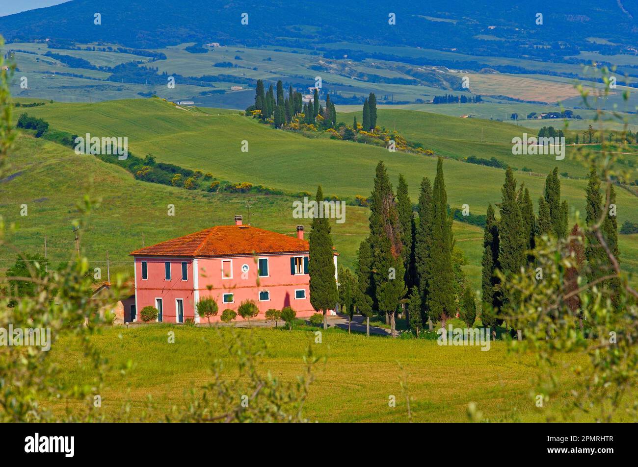 Val d'Orcia, Orcia Valley, farm with cypresses, fields and farmhouses ...