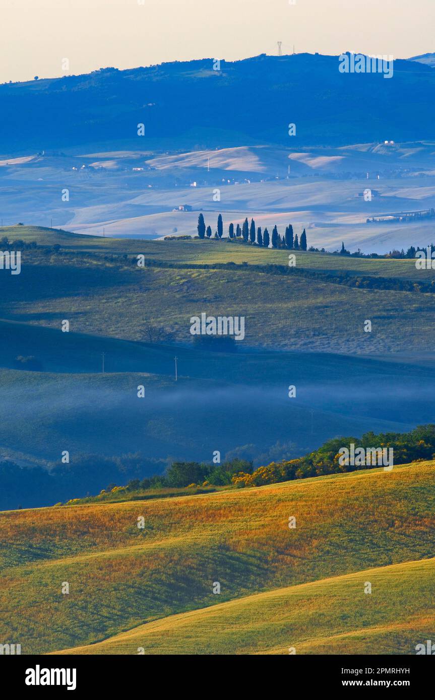 Val d'Orcia. Orcia valley at dawn. Morning mist. UNESCO World Heritage ...