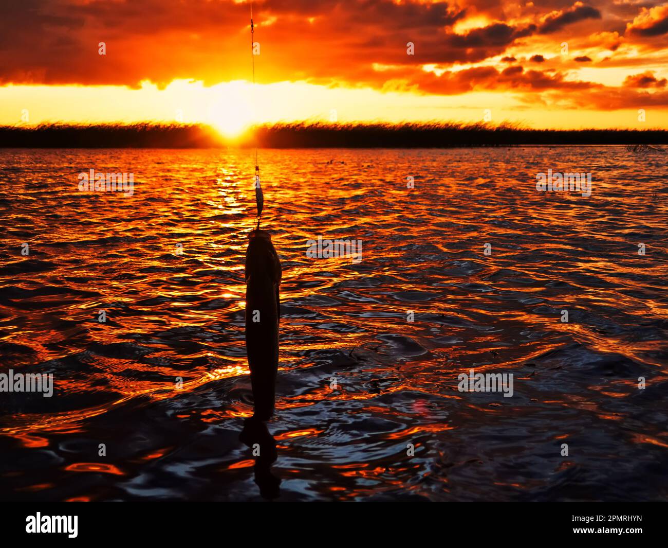 Fishing at sunset. Catching predatory fish on spinning. Sunset colors ...