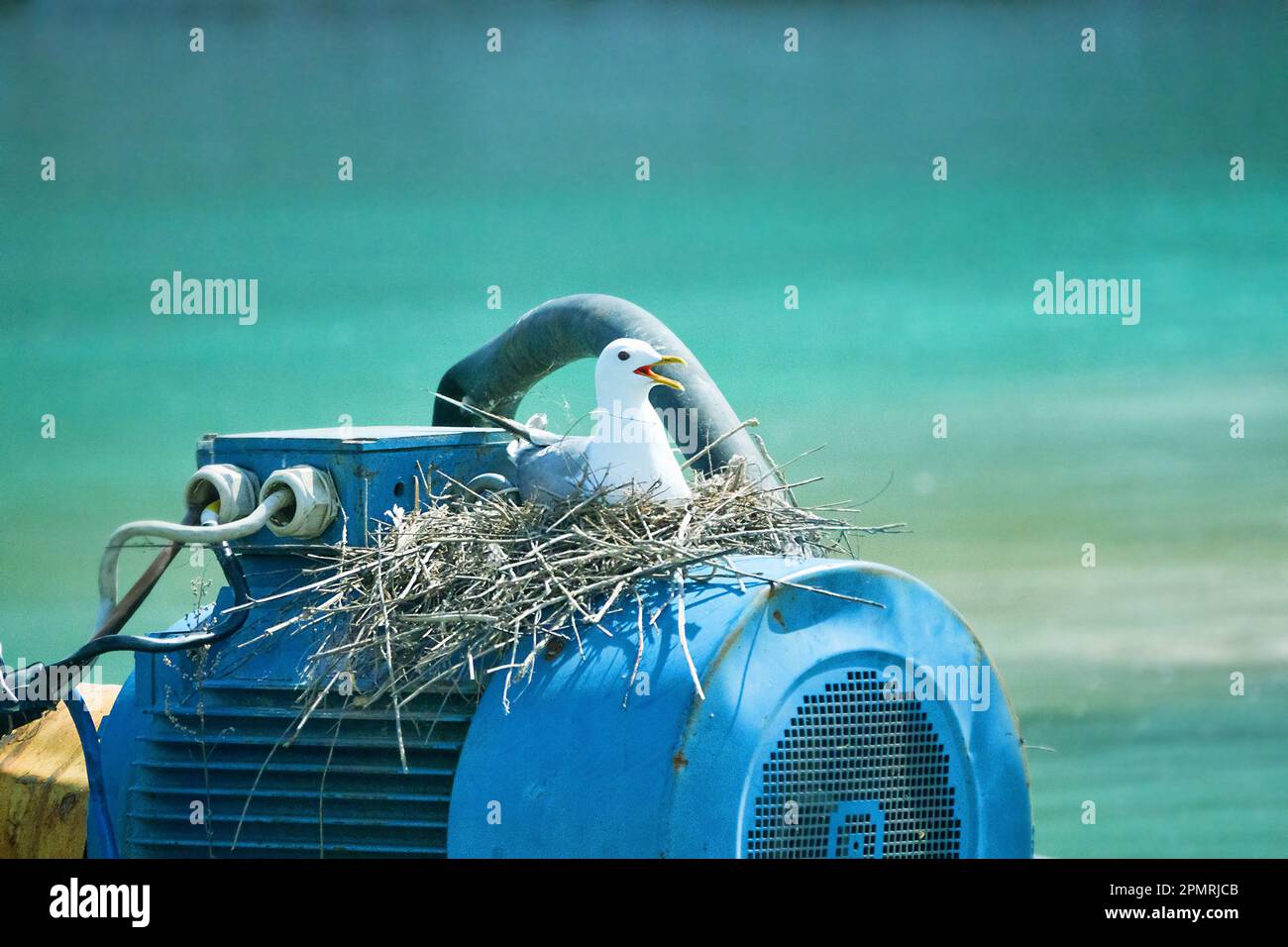 Flooded hatch hi-res stock photography and images - Alamy