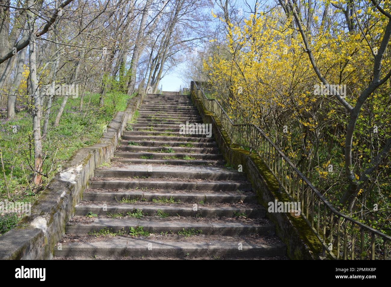 Hohes plateu hi-res stock photography and images - Alamy