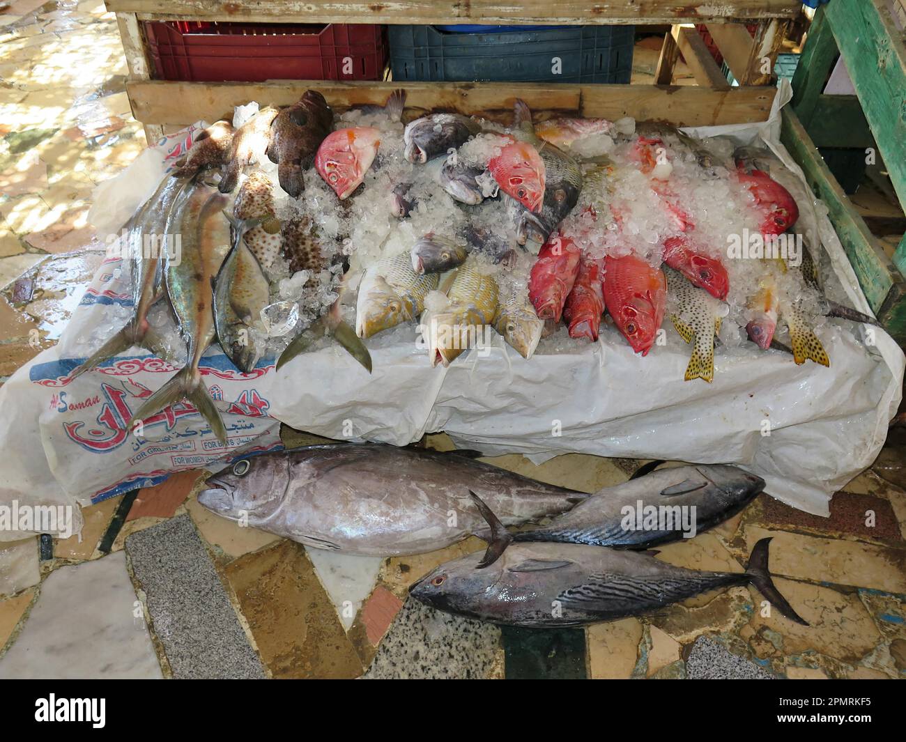 Tuna, fish market, Hurghada, Egypt Stock Photo - Alamy