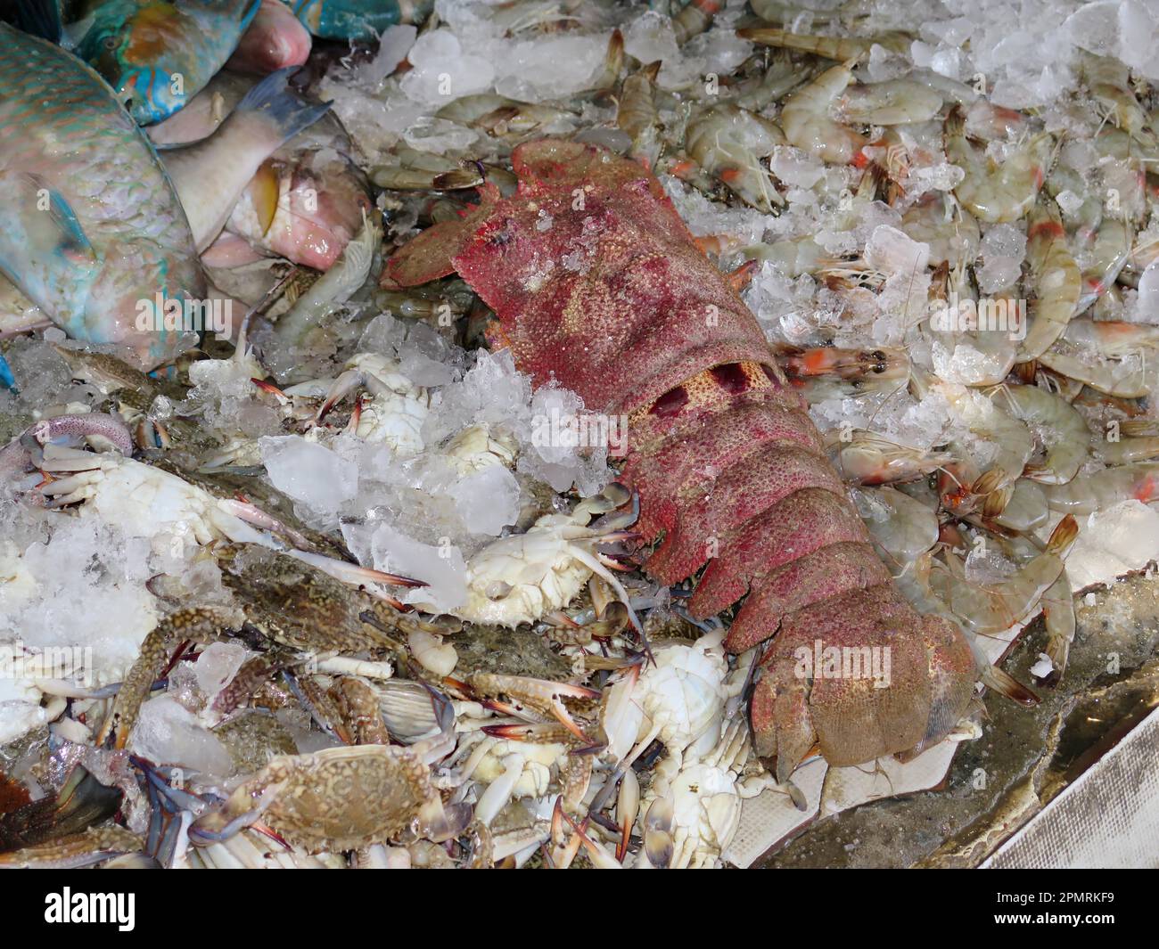 Bear crab, fish market, Hurghada, Egypt Stock Photo - Alamy