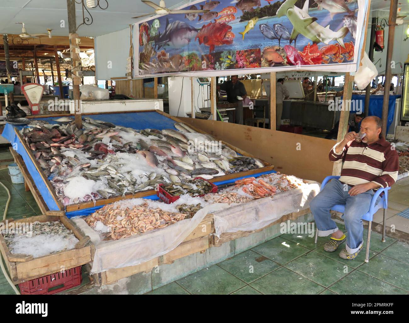Fish market, Hurghada, Egypt Stock Photo - Alamy