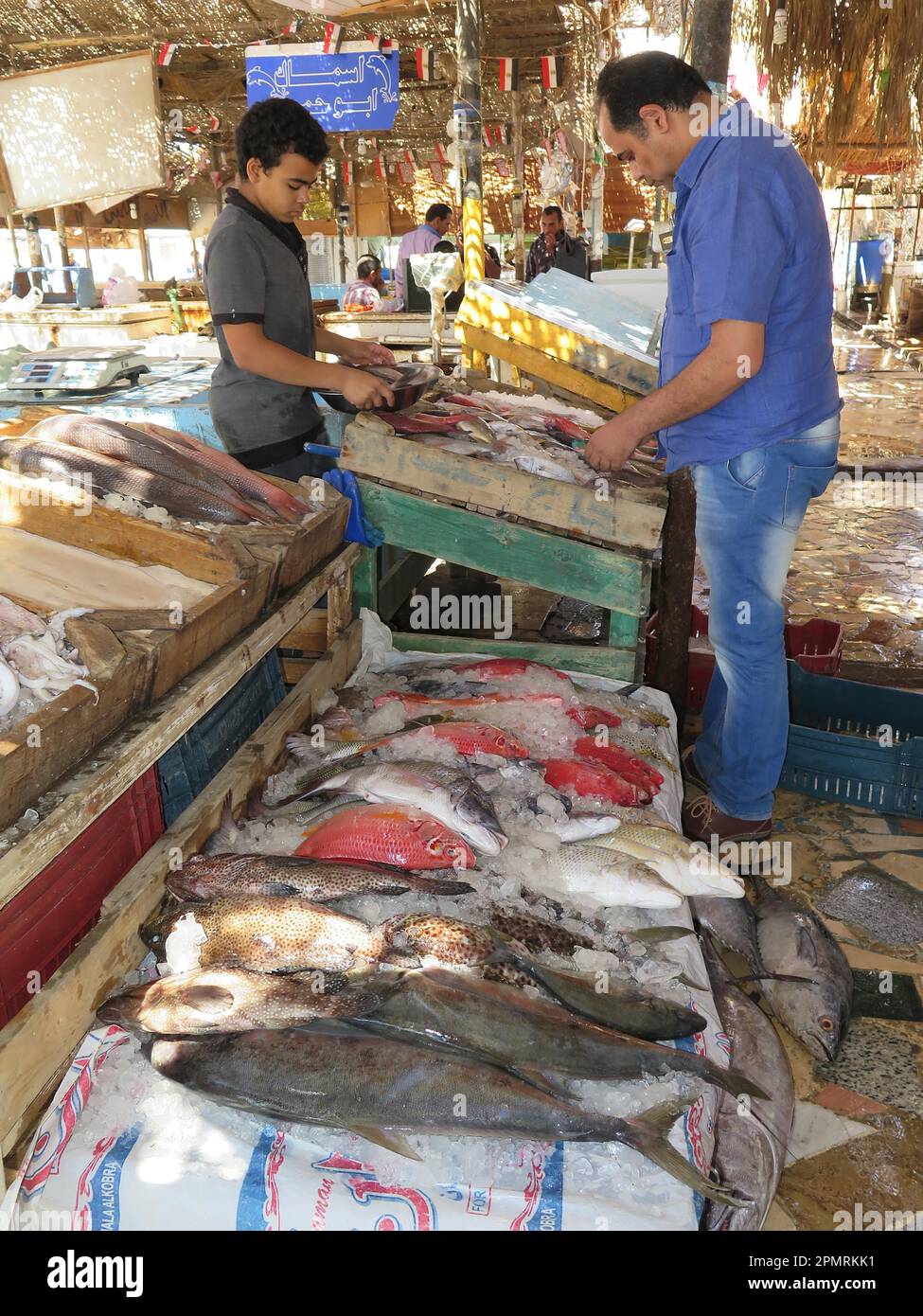 Fish market, Hurghada, Egypt Stock Photo - Alamy