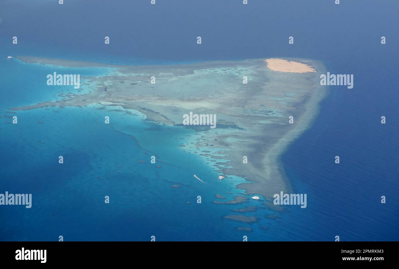 Coral reef, Hurghada, Egypt Stock Photo - Alamy