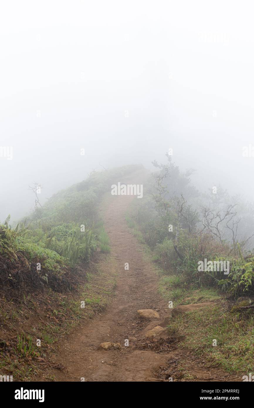 The Waihee Ridge Trail covered in heavy fog on a rainy day in Hawaii ...