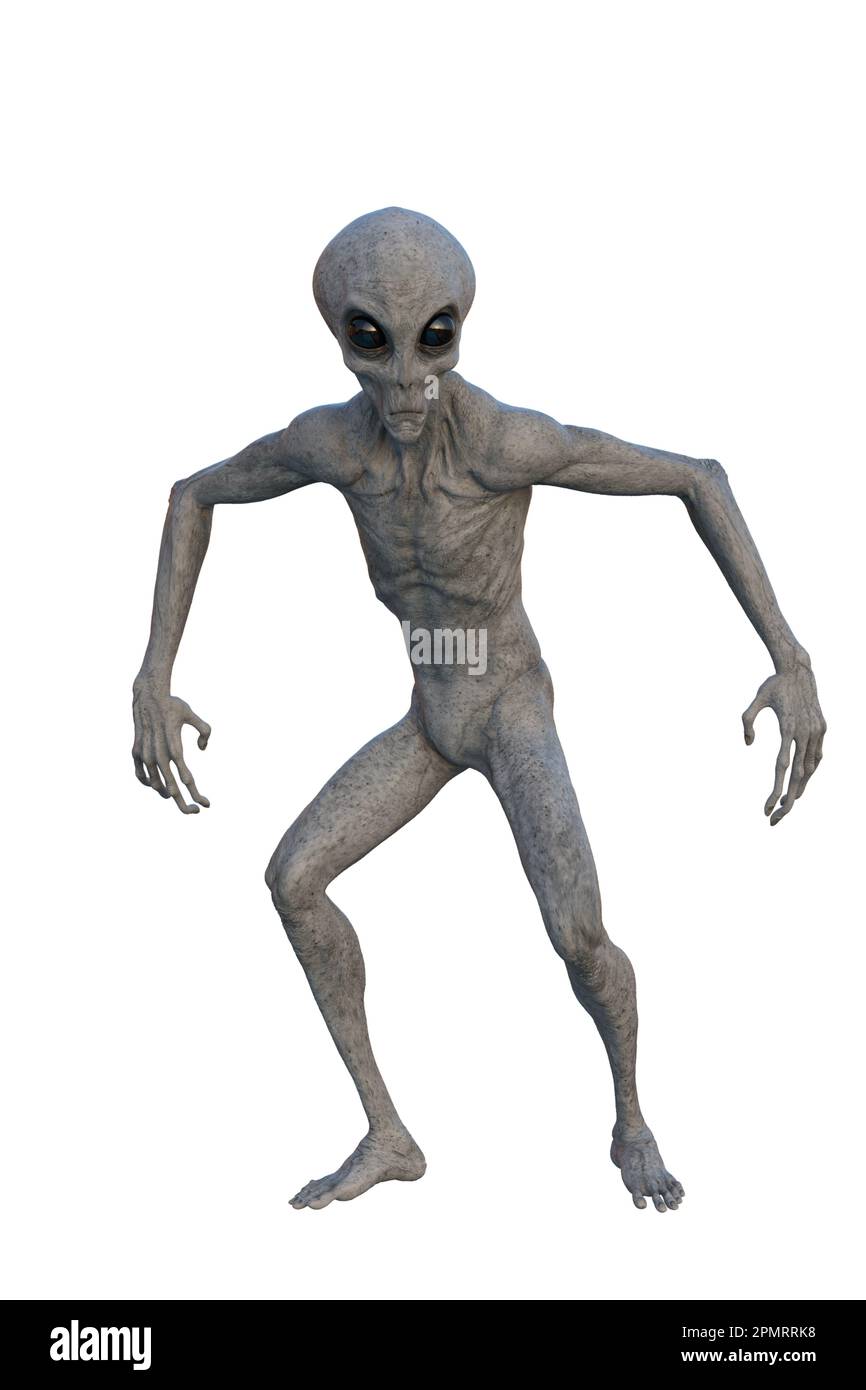 Grey Alien looking alert. 3D render isolated on white Stock Photo - Alamy