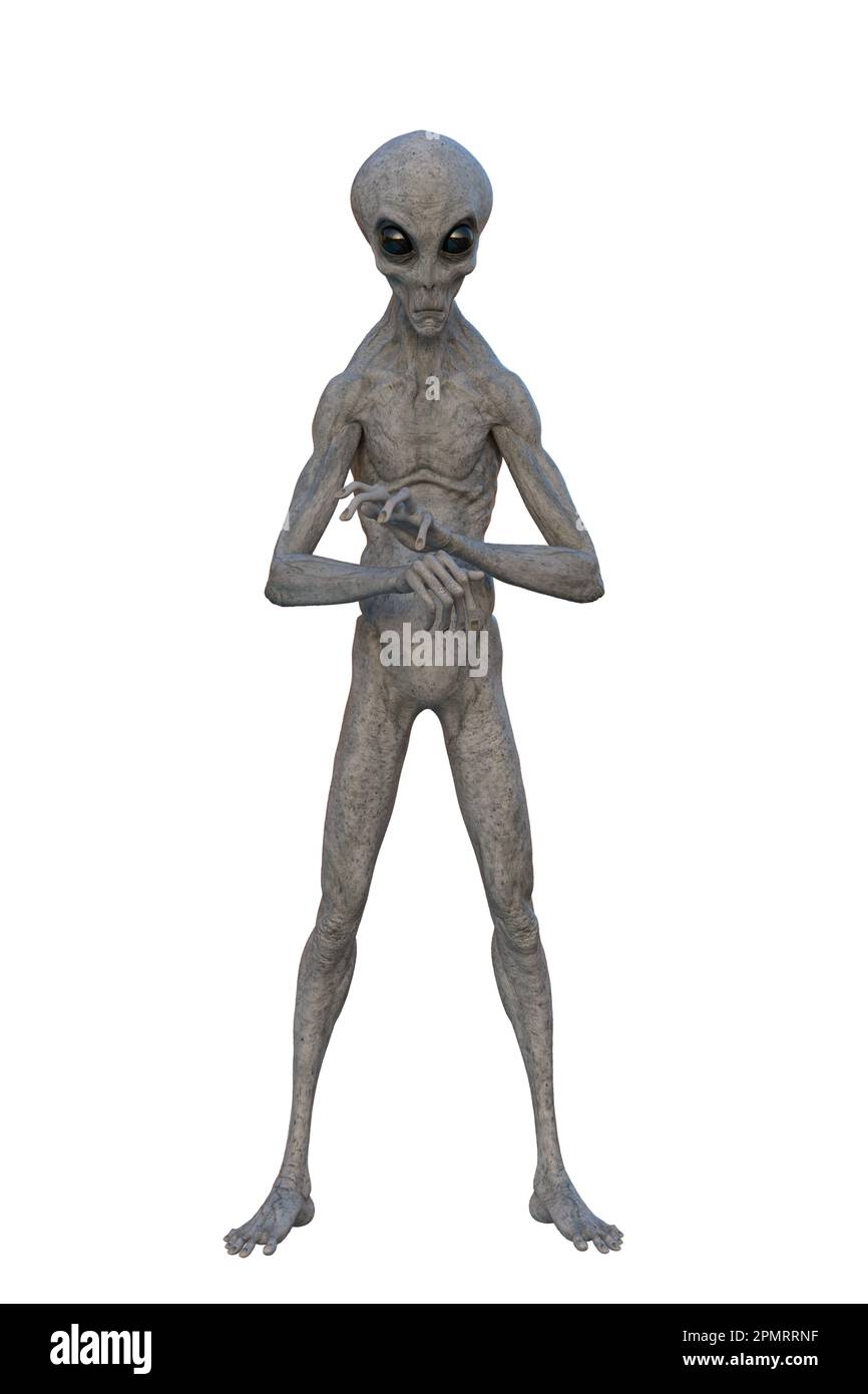 Grey Alien Full Body