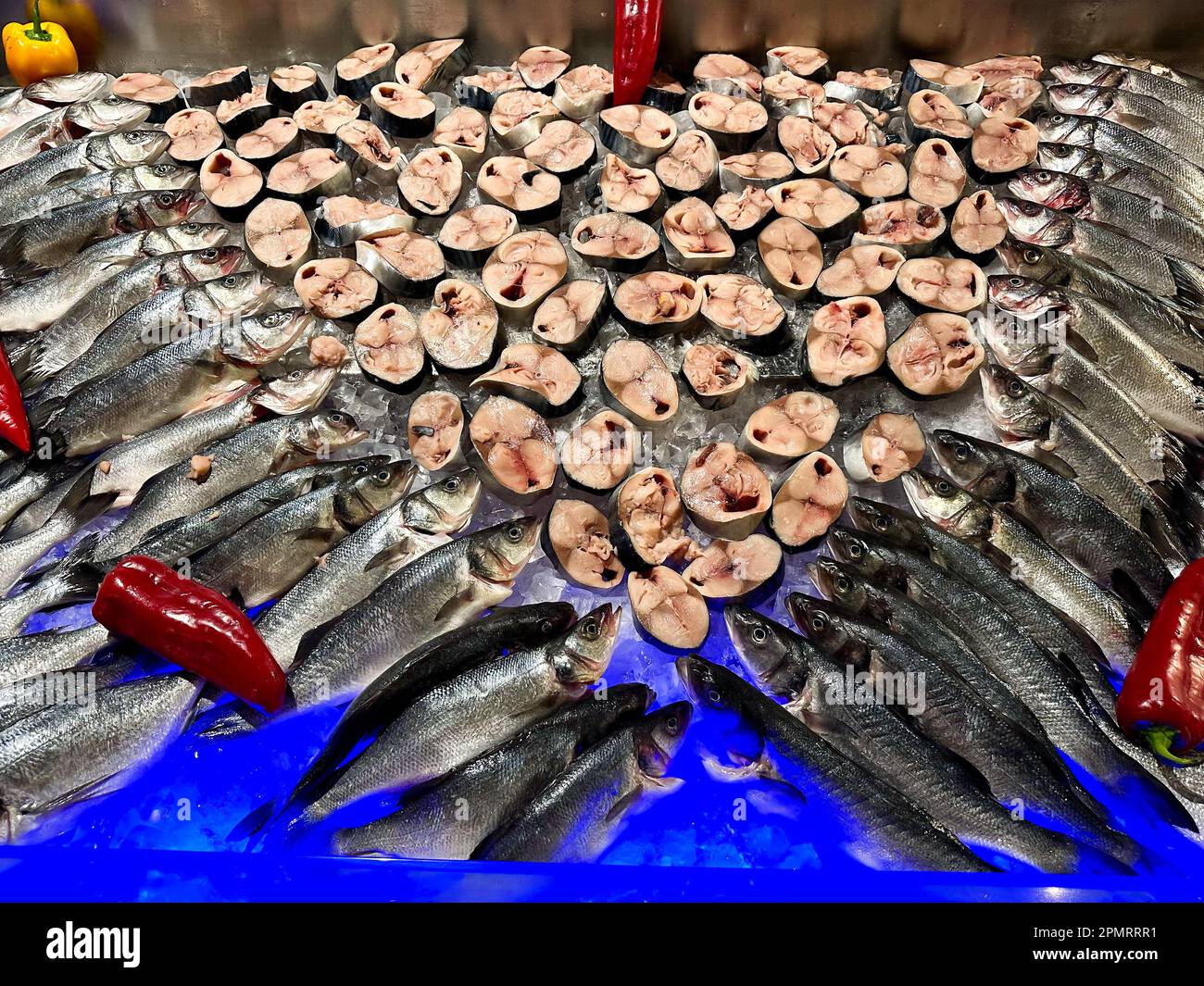 Bonito fish hi-res stock photography and images - Alamy