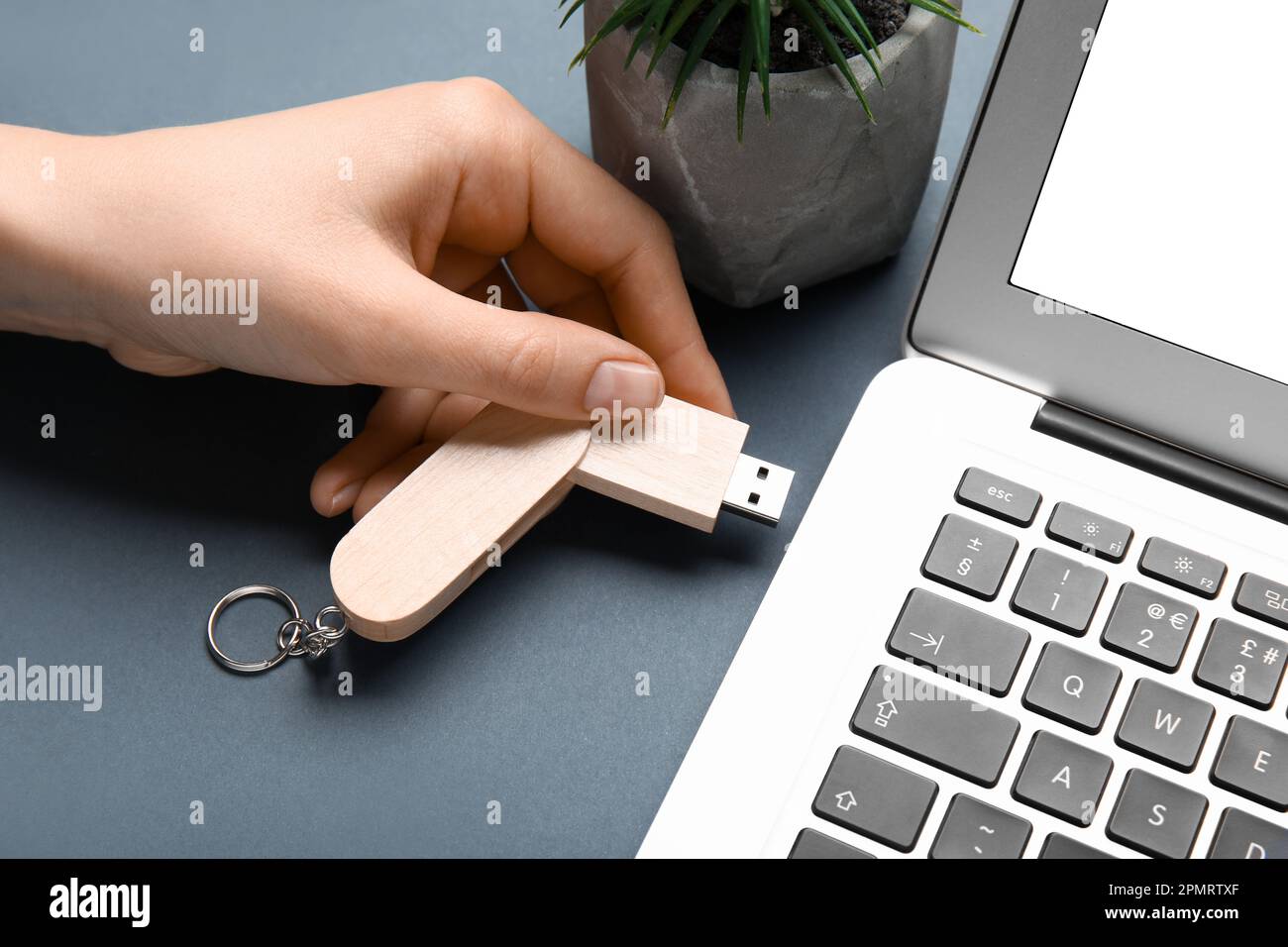 Woman plugging wooden USB flash drive into modern laptop on grey table ...