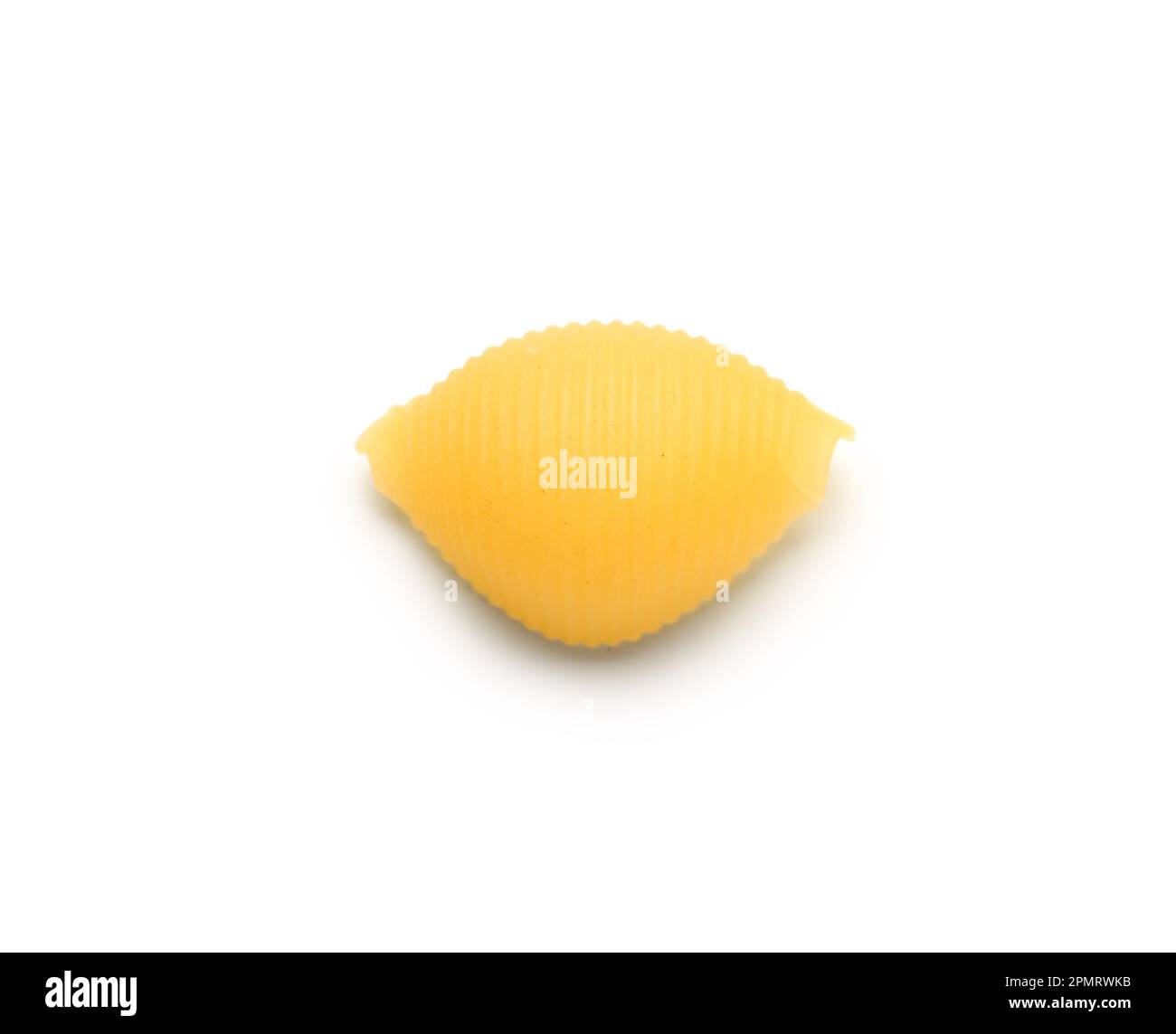Raw conchiglie pasta isolated on white background Stock Photo - Alamy
