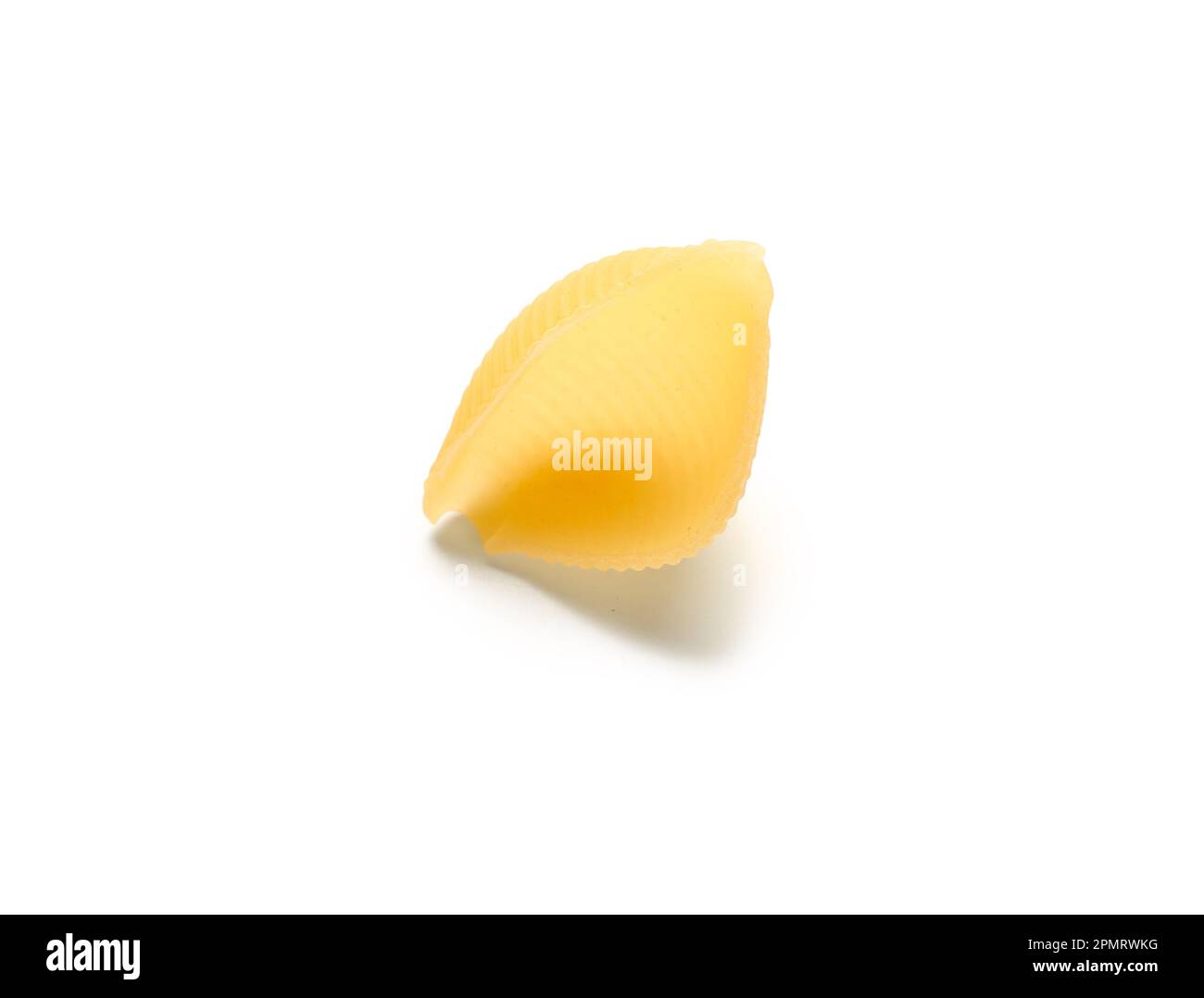Raw conchiglie pasta isolated on white background Stock Photo - Alamy